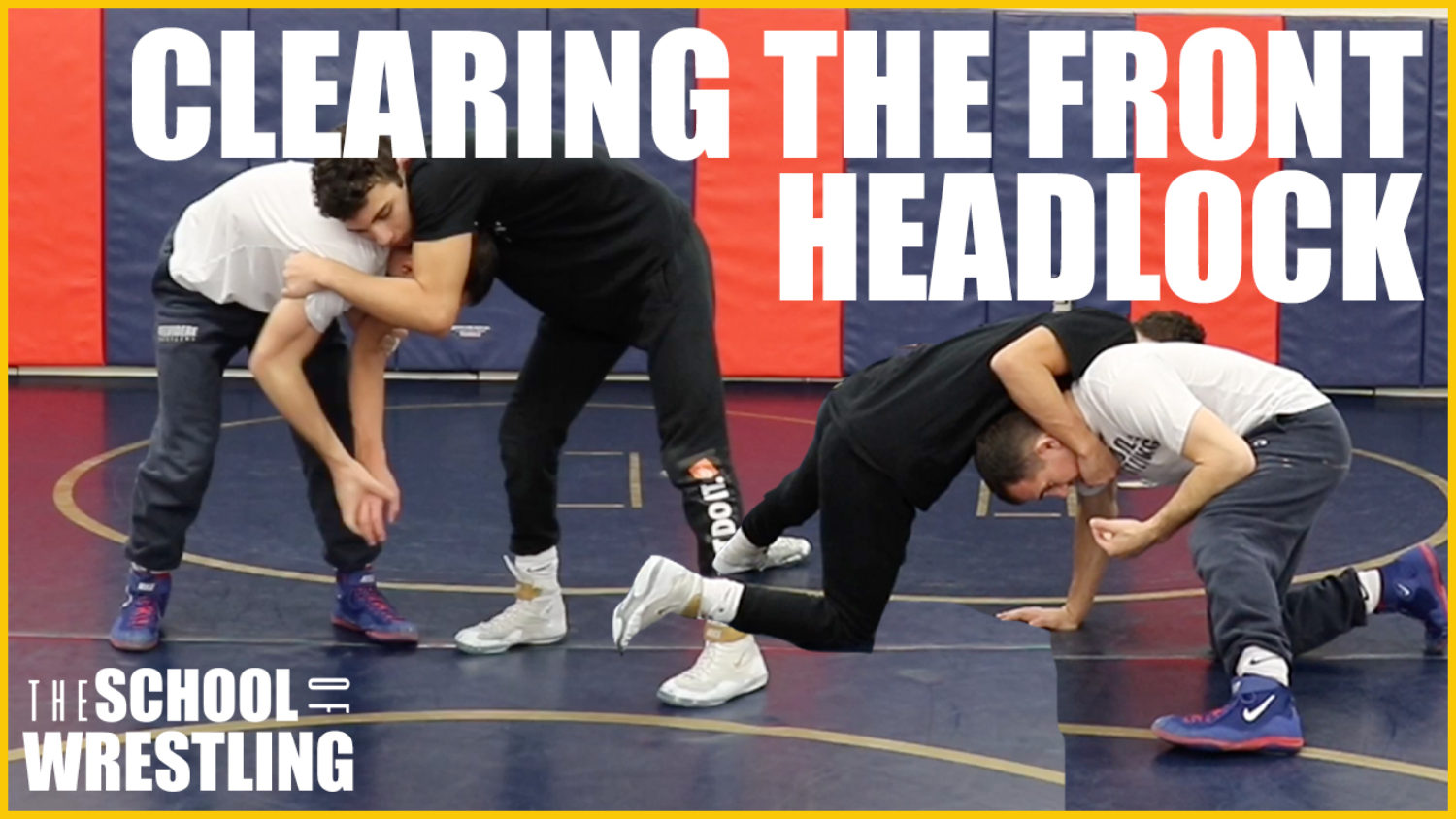 Single Leg Attack